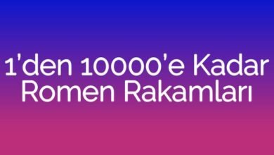1'den 100'e Kadar Sayı İsimleri - Hikmet Dokumacı